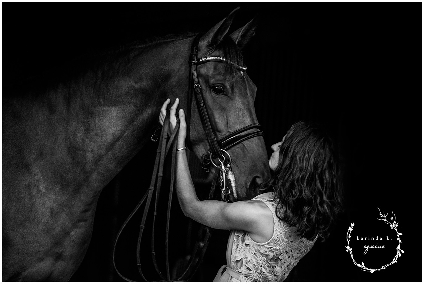 Fine Art Black Background Equine Portraits Houston, Texas - Texas ...