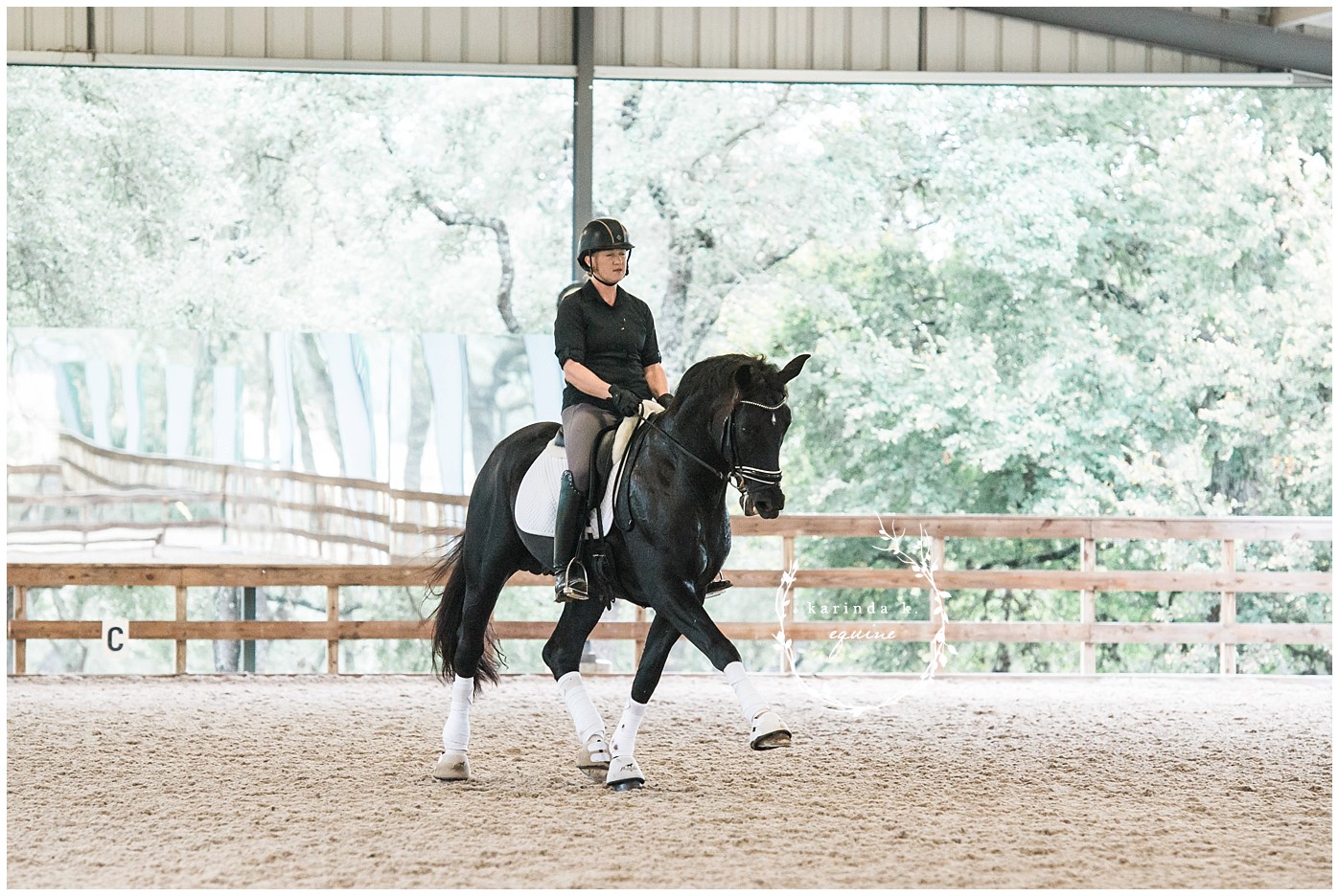 Robert Dover Texas Dressage Clinic Pictures by Karinda K Equine