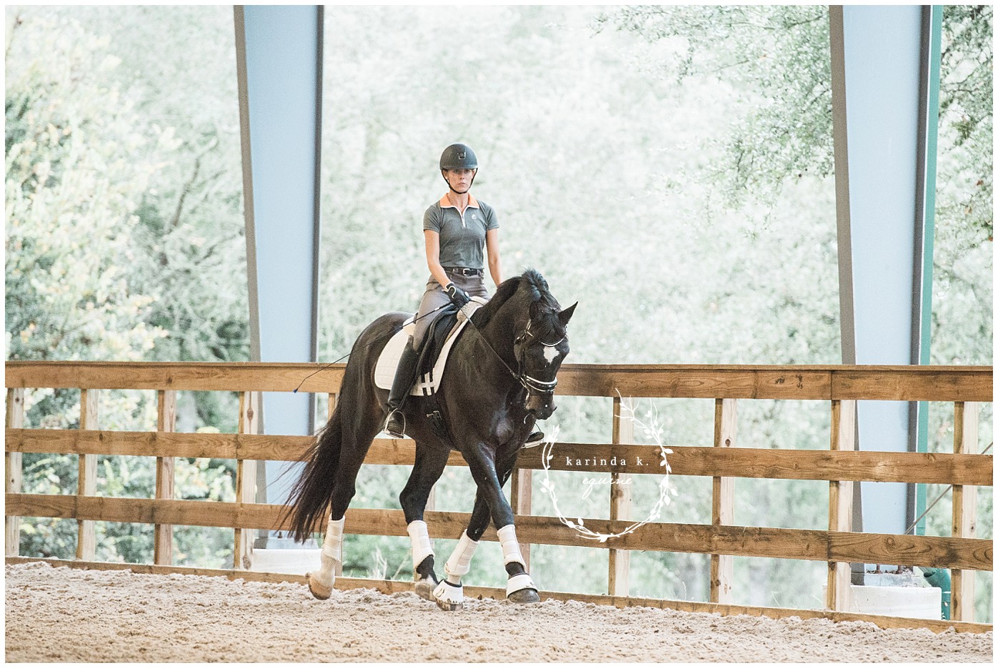 Robert Dover Texas Dressage Clinic Pictures by Karinda K Equine
