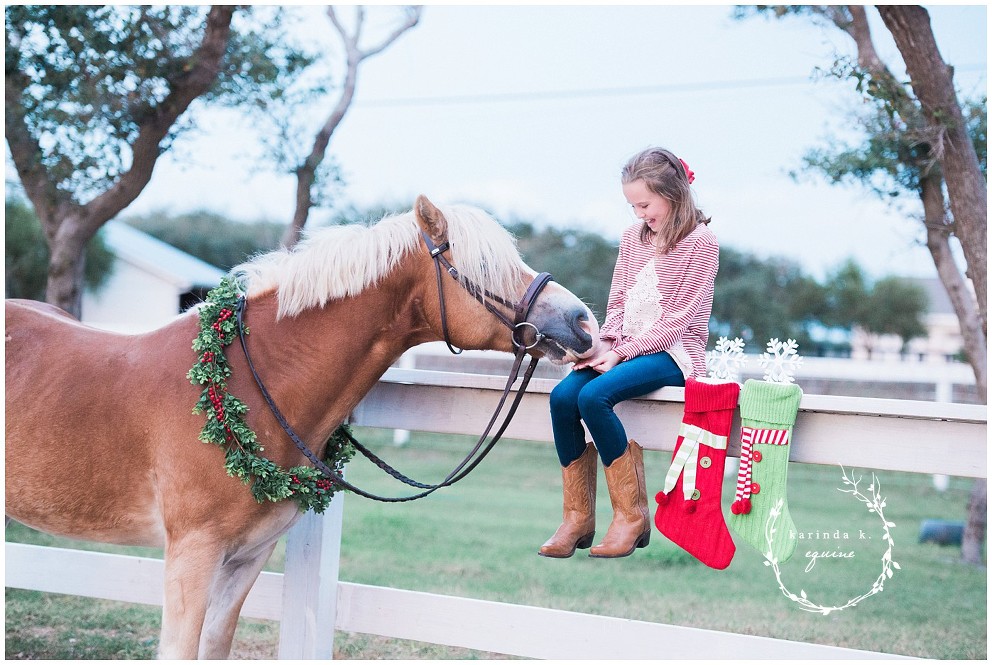 Christmas Horse Rider Portraits Texas Equine Photographer