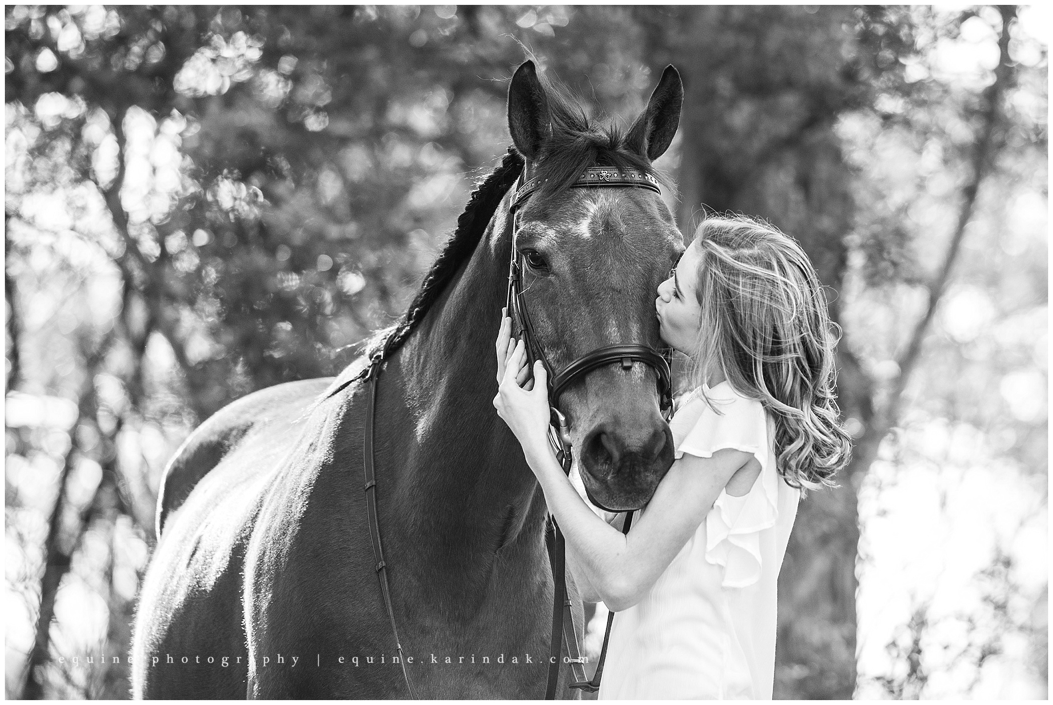 Columbus, Ohio Horse & Rider Portraits - Texas Equine Photography ...