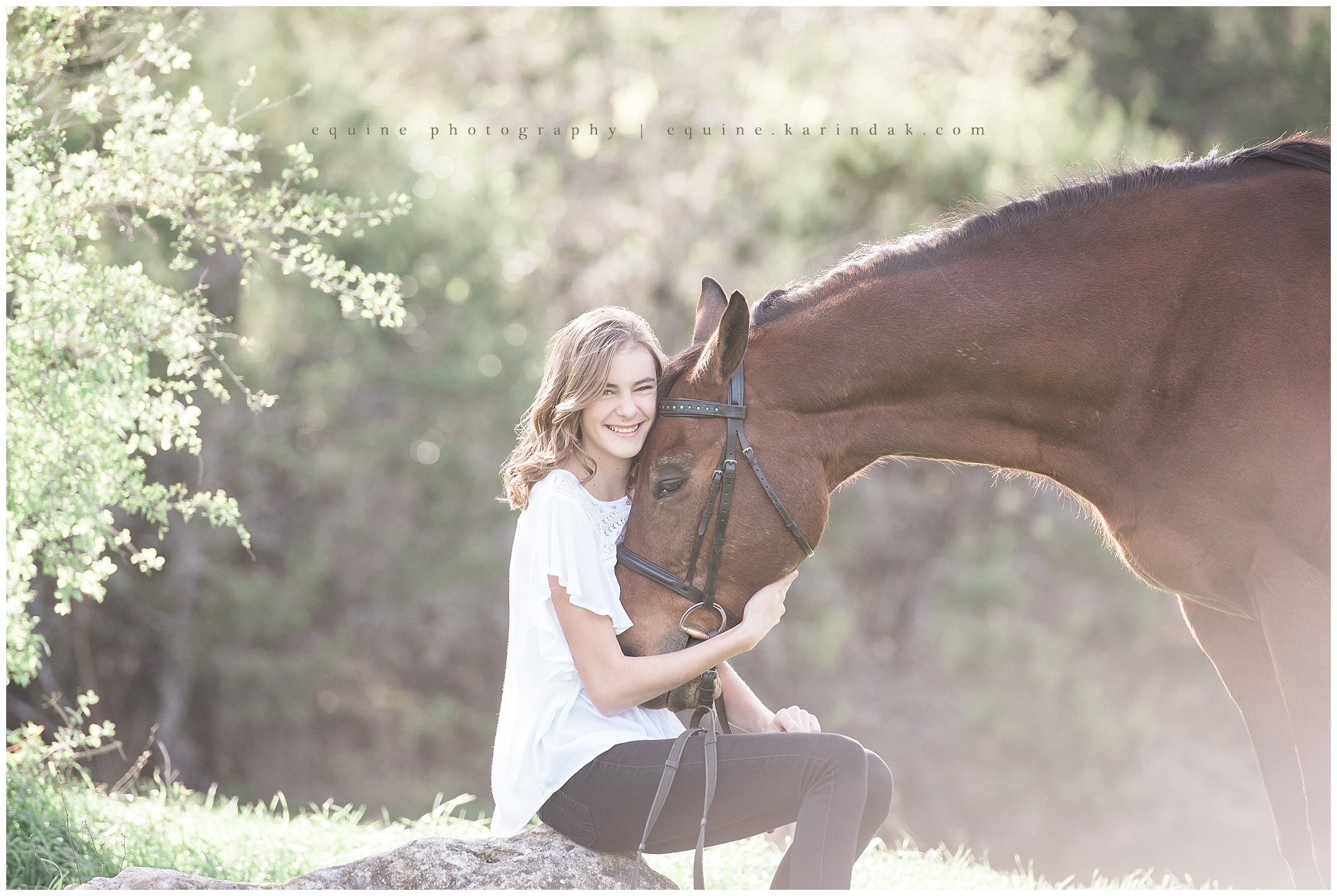 Columbus, Ohio Horse & Rider Portraits - Texas Equine Photography ...