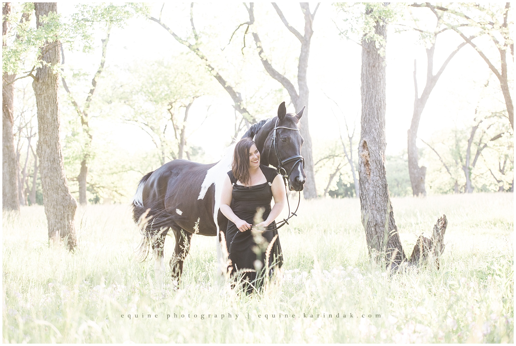Horse and Rider Portrait Photographer Austin,TX - Texas Equine ...