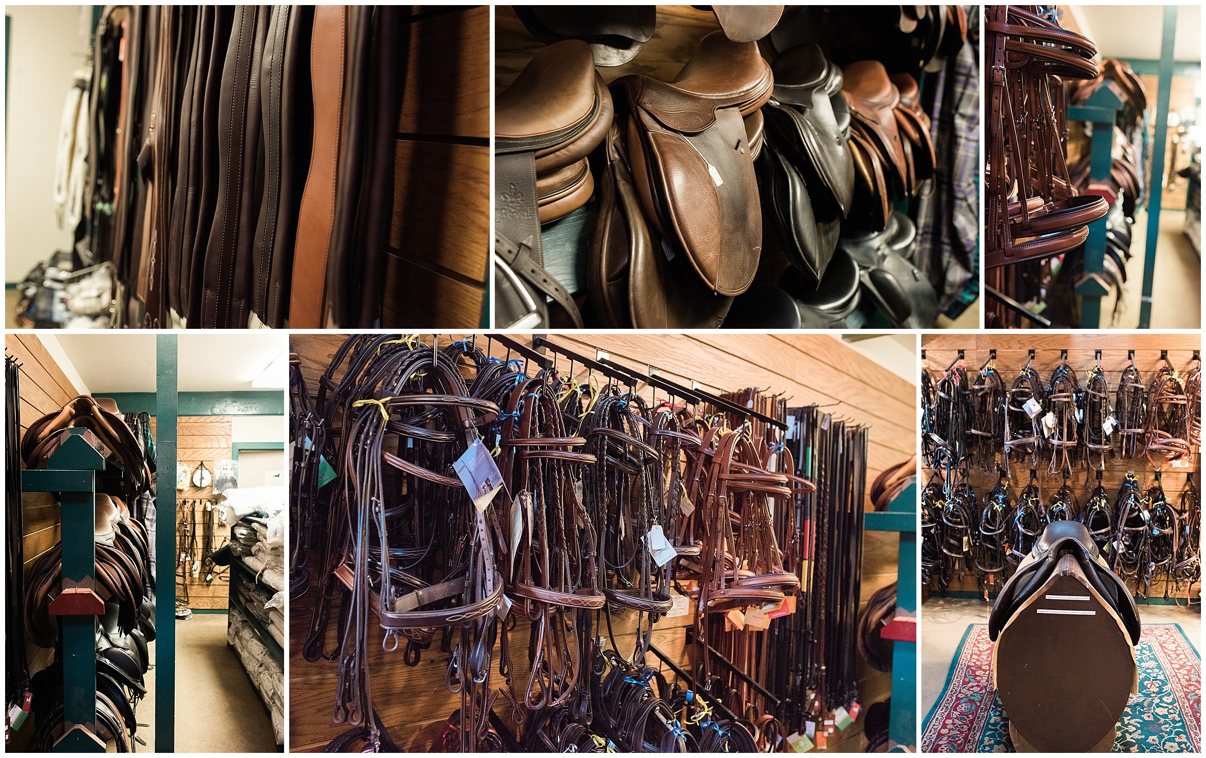 Small Business Saturday Featuring Carousel Saddlery in Woodside,CA ...