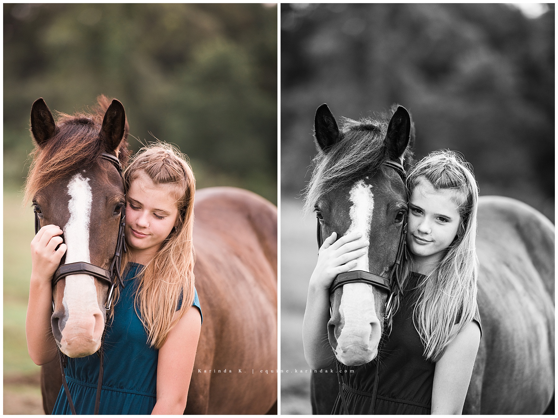 Pony Goodbye Portrait Session | Arnold | Missouri Horse & Rider ...