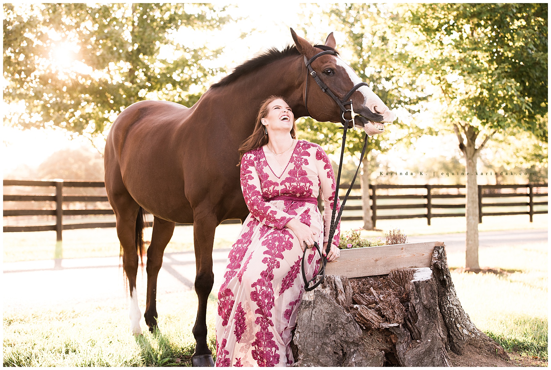 Horse & Rider Portraits | Olive Hill Sport Horses | Lexington, KY ...